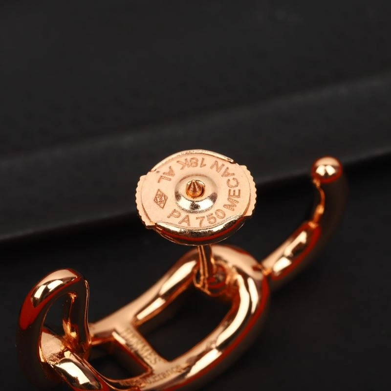 Value-priced Hermes Earrings