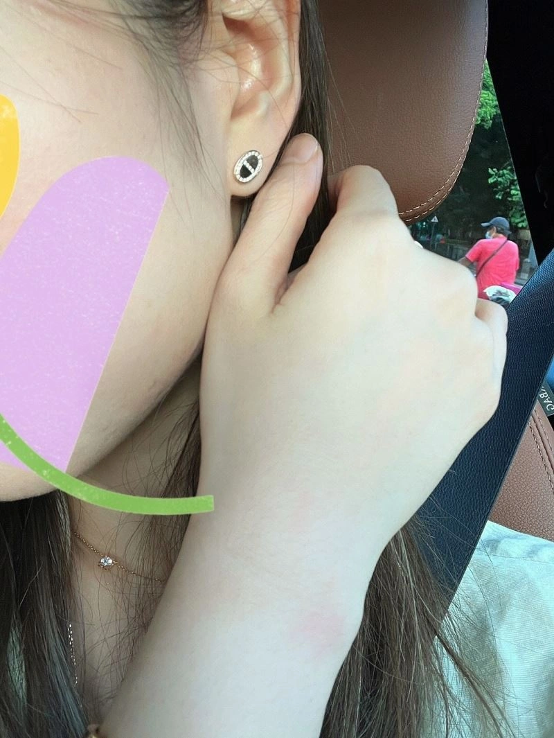 1:1 copy Hermes Earrings