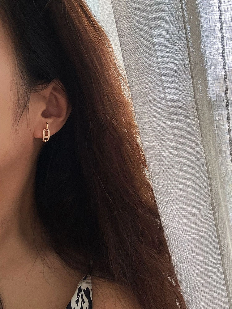 Brand-authenticated Hermes Earrings