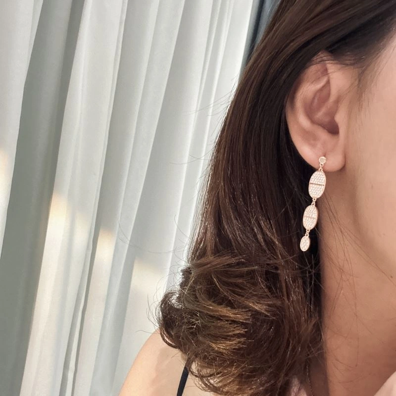 Legit Hermes Earrings