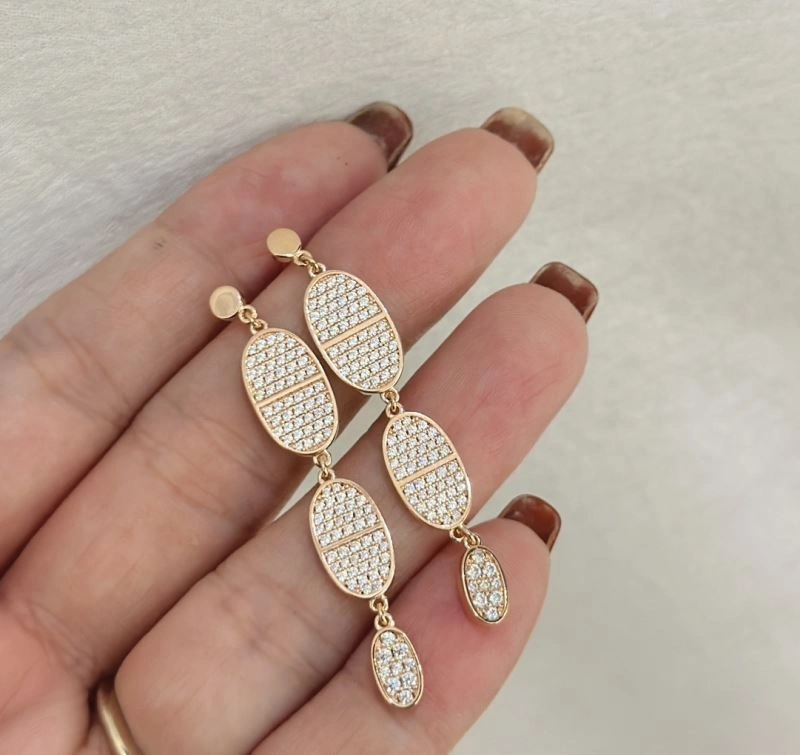 Legit Hermes Earrings
