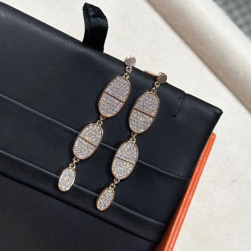 Legit Hermes Earrings