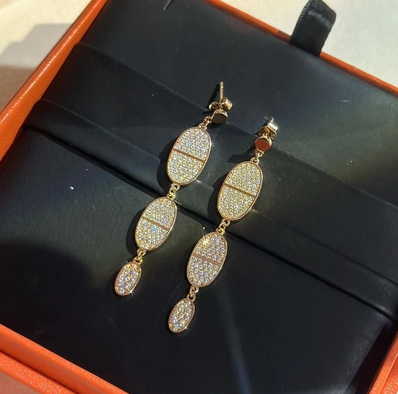 Legit Hermes Earrings