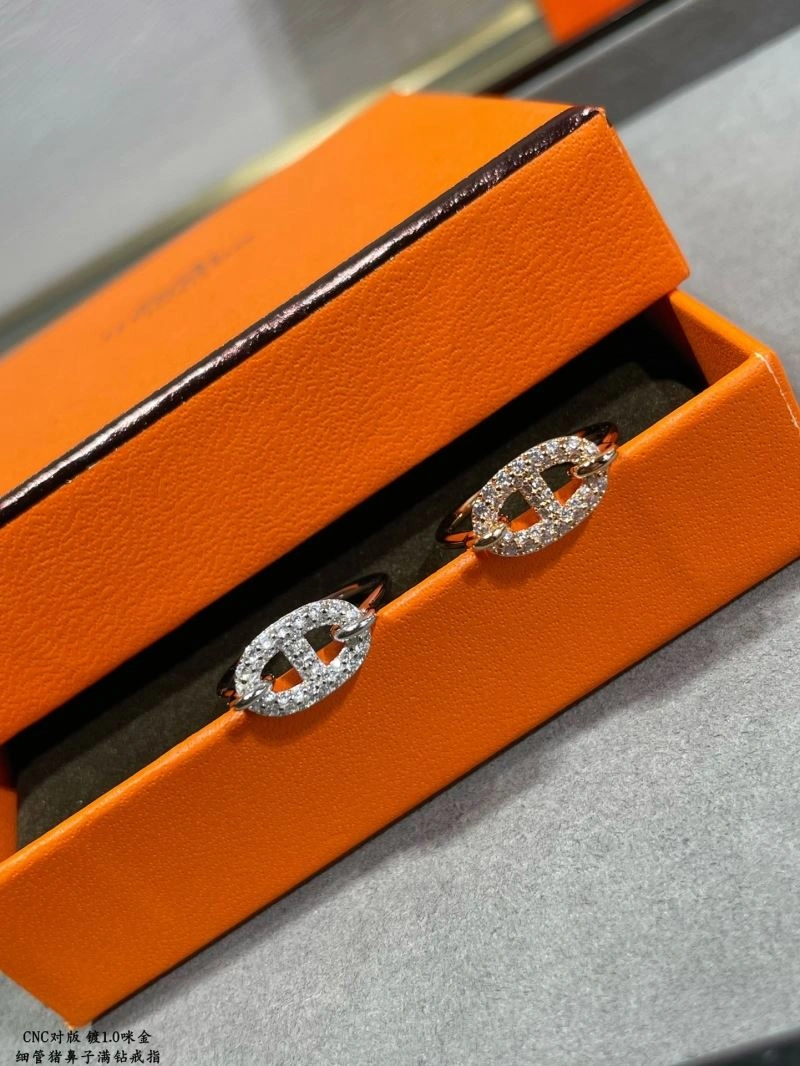 Top match Hermes Earrings