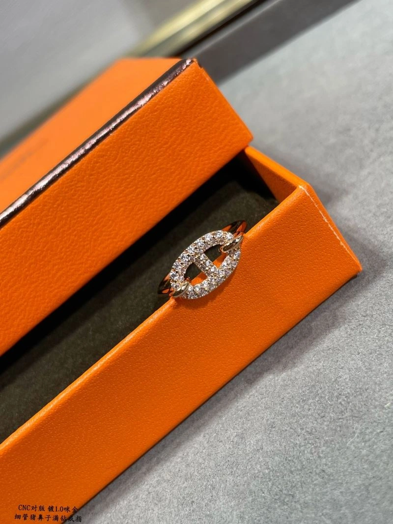 Top match Hermes Earrings