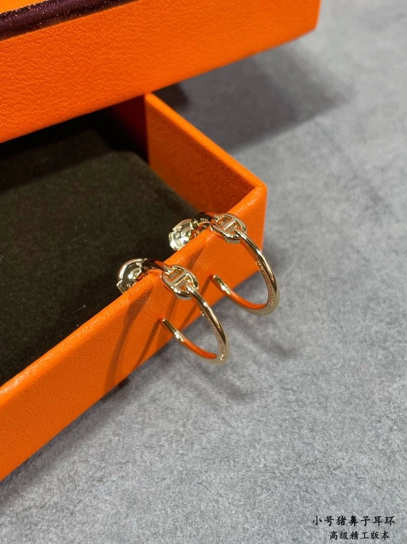 Affordable Hermes Earrings