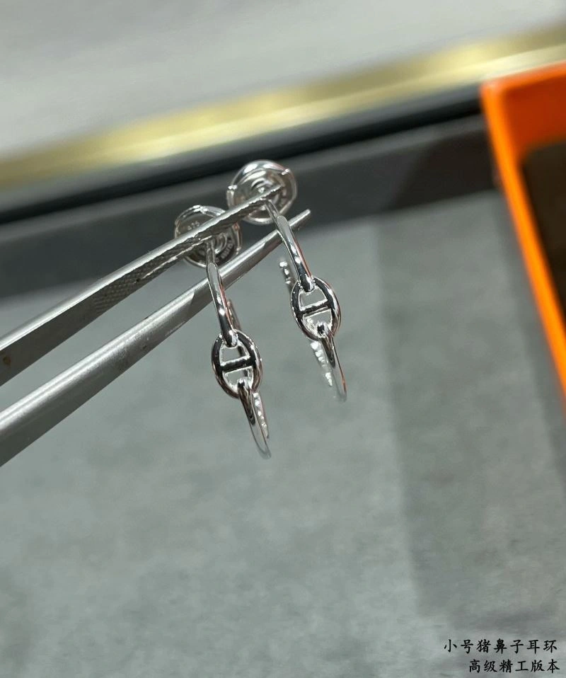 Affordable Hermes Earrings