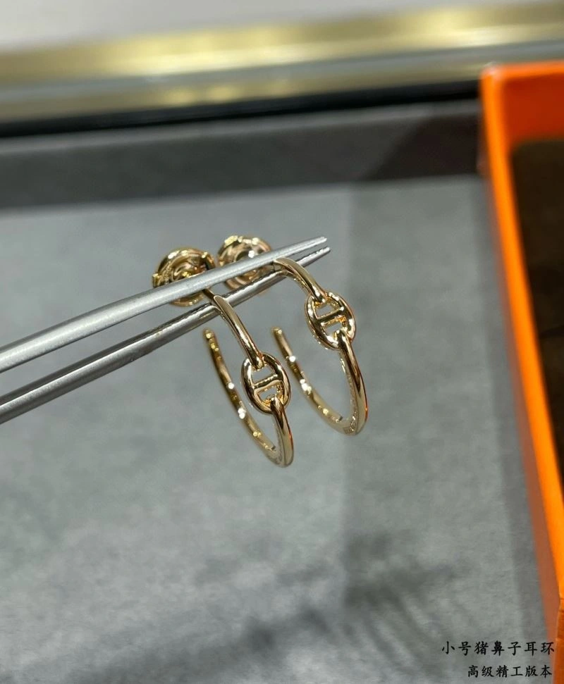 Affordable Hermes Earrings