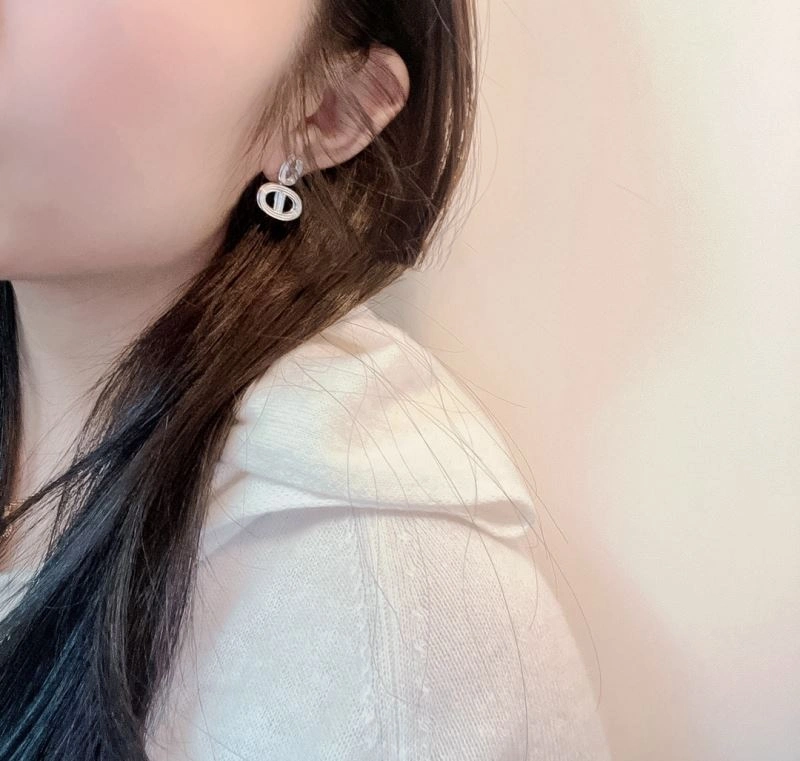 Mirror quality Hermes Earrings