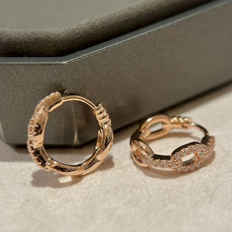 Discounted Hermes Earrings