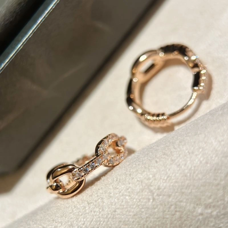 Discounted Hermes Earrings