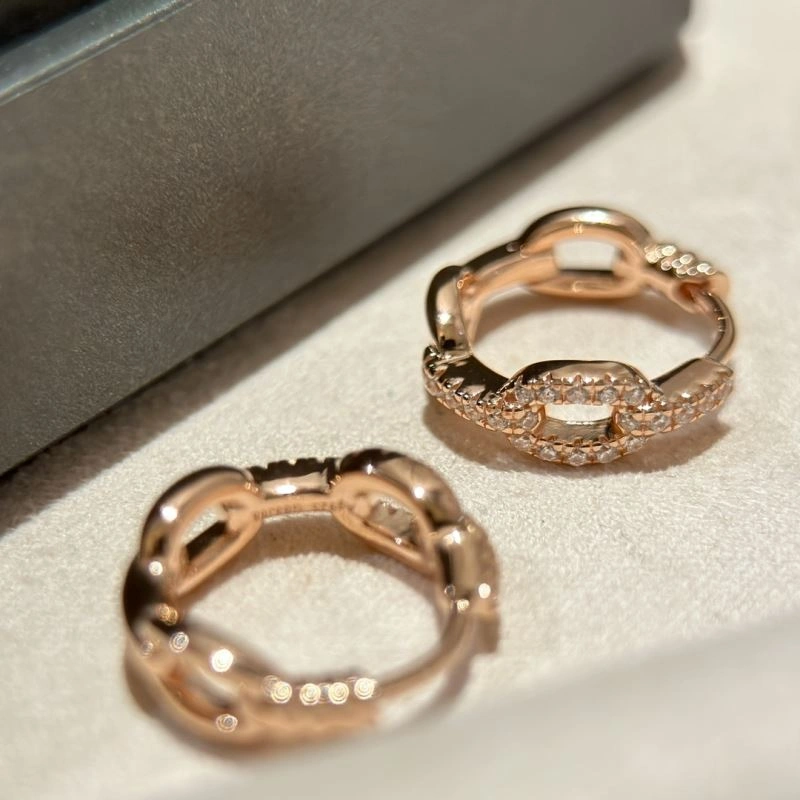 Discounted Hermes Earrings