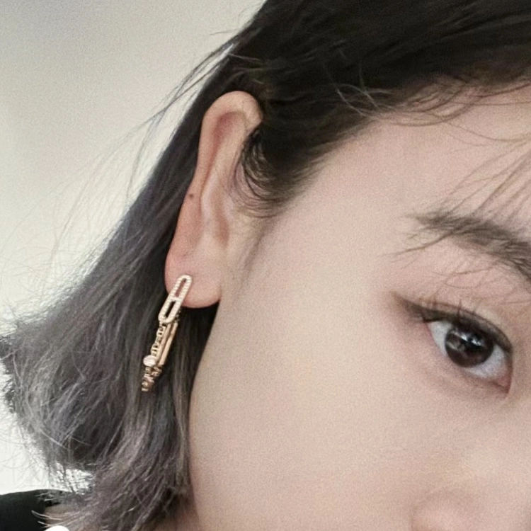 Top match Hermes Earrings