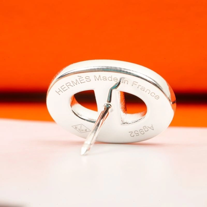 Top match Hermes Earrings