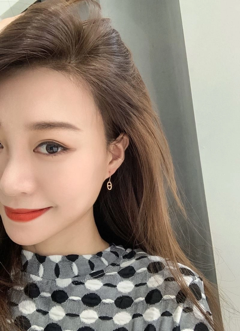 Affordable Hermes Earrings