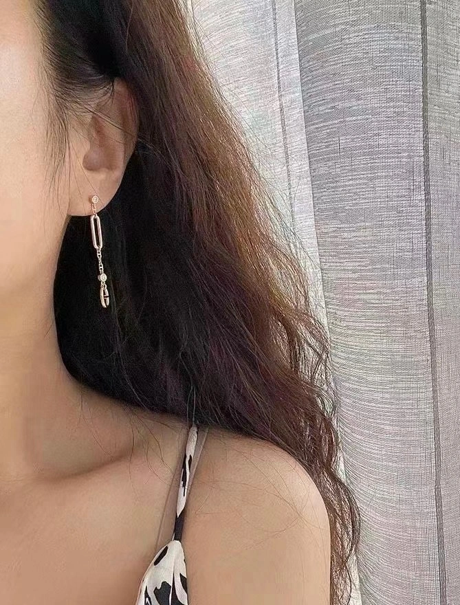Brand-authenticated Hermes Earrings