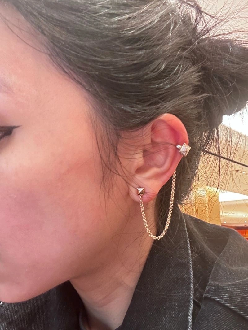 Real Hermes Earrings