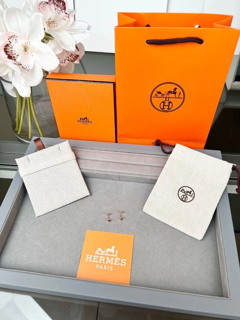 Hermes Earrings
