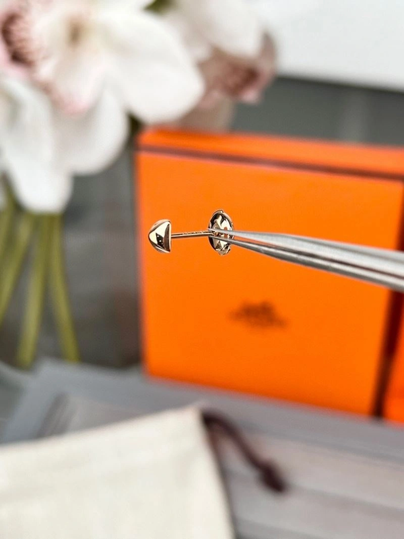 Inexpensive Hermes Earrings