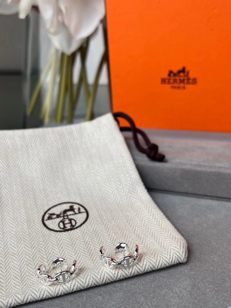 Reasonably priced Hermes Earrings