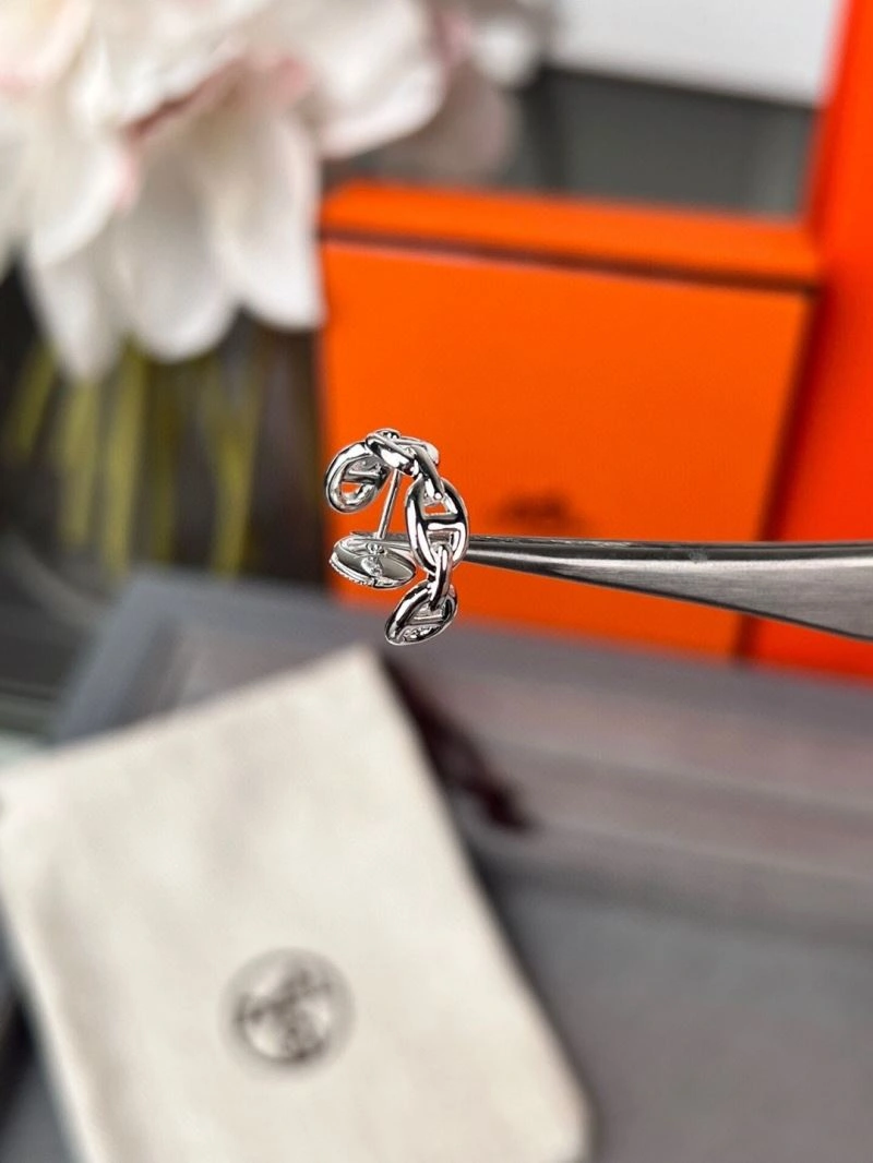 Reasonably priced Hermes Earrings
