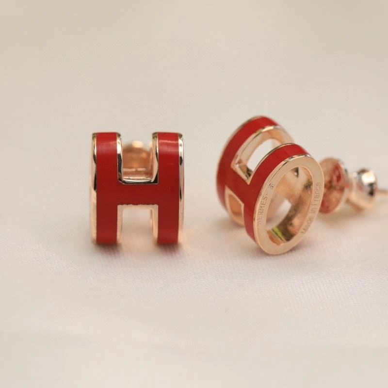 Cut-rate Hermes Earrings