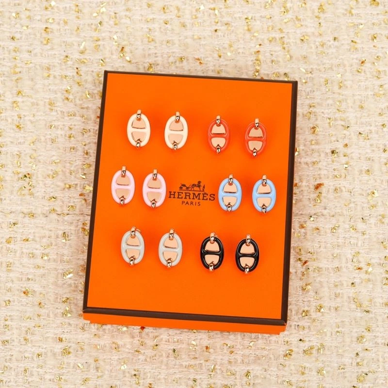 Hermes Earrings