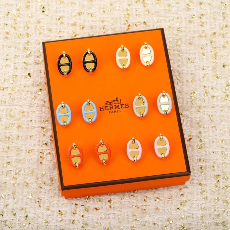 Hermes Earrings