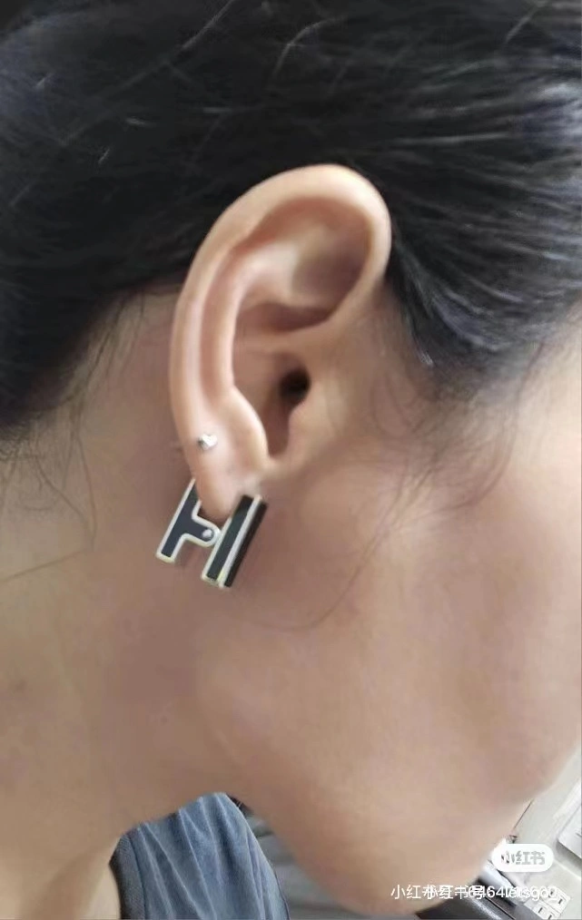 Hermes Earrings