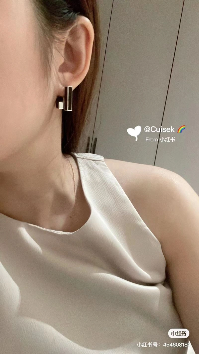 Mirror quality Hermes Earrings