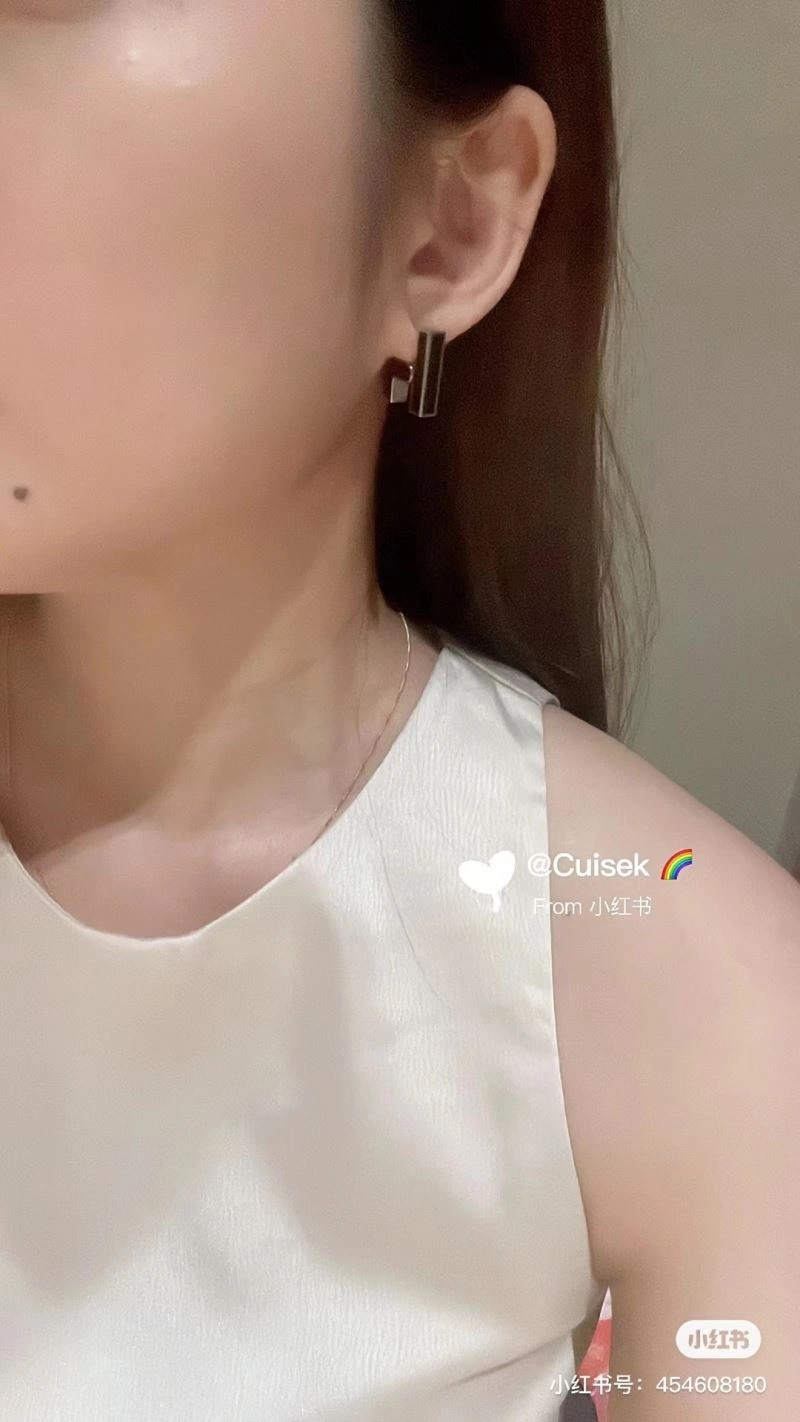 Mirror quality Hermes Earrings