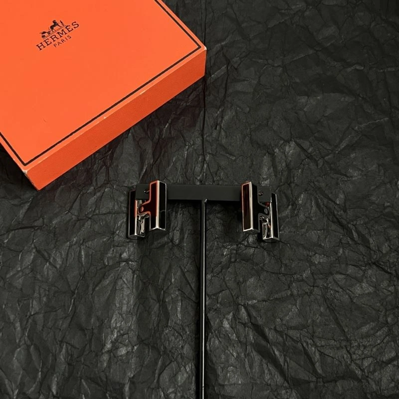 Mirror quality Hermes Earrings
