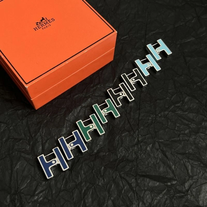 Legit Hermes Earrings