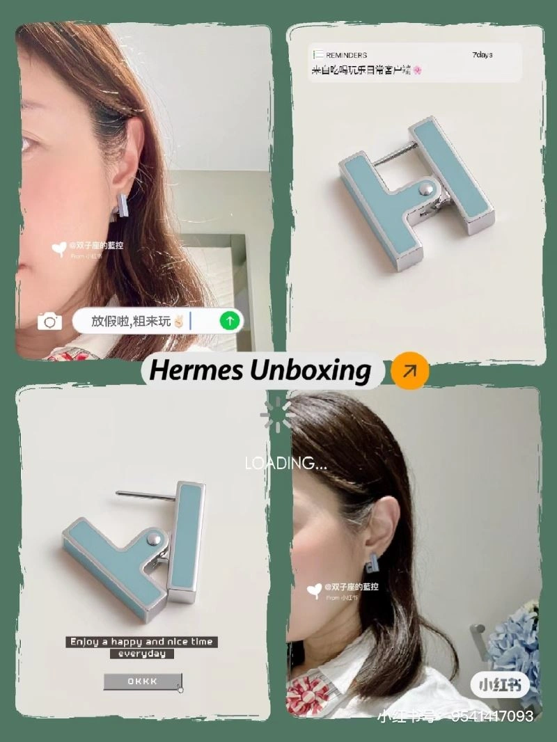 Brand-authenticated Hermes Earrings