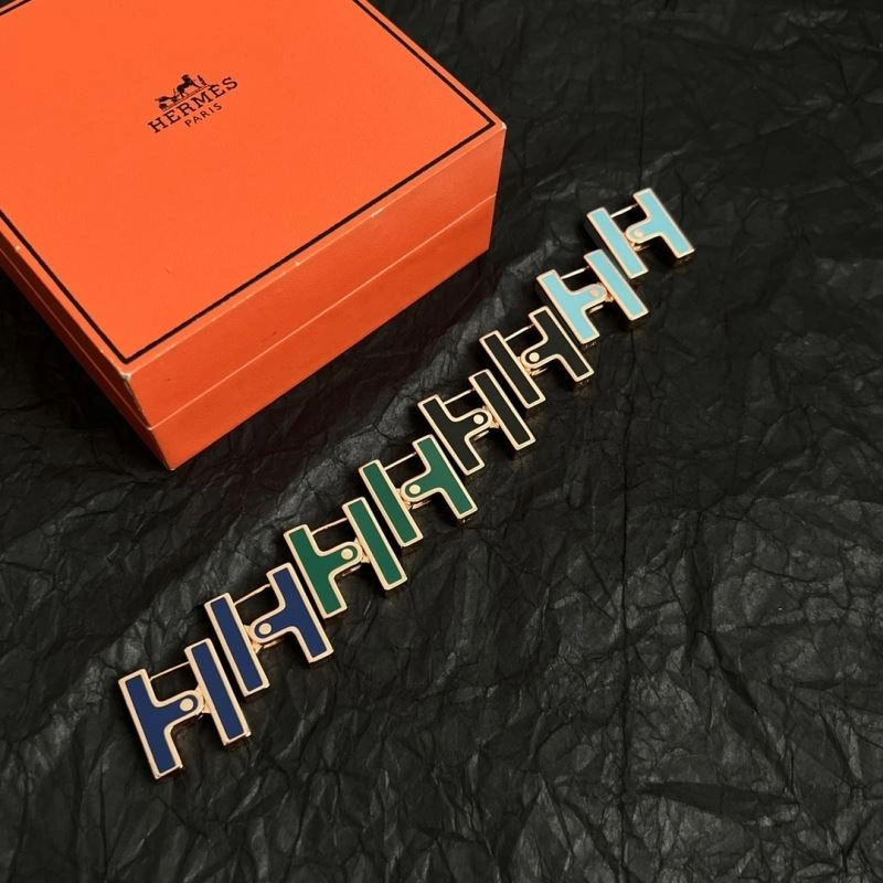 Legit Hermes Earrings