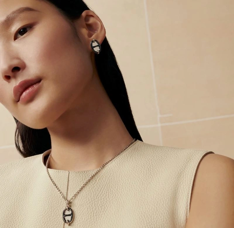 Brand-original Hermes Earrings