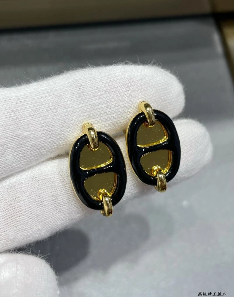 Brand-original Hermes Earrings