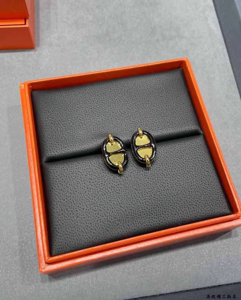 Brand-original Hermes Earrings