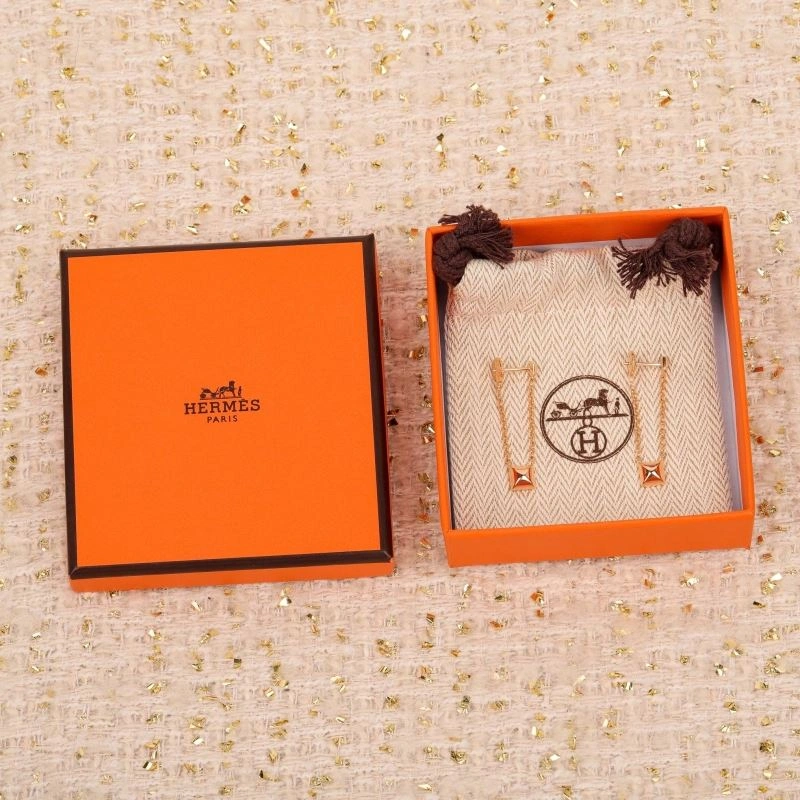 Hermes Earrings