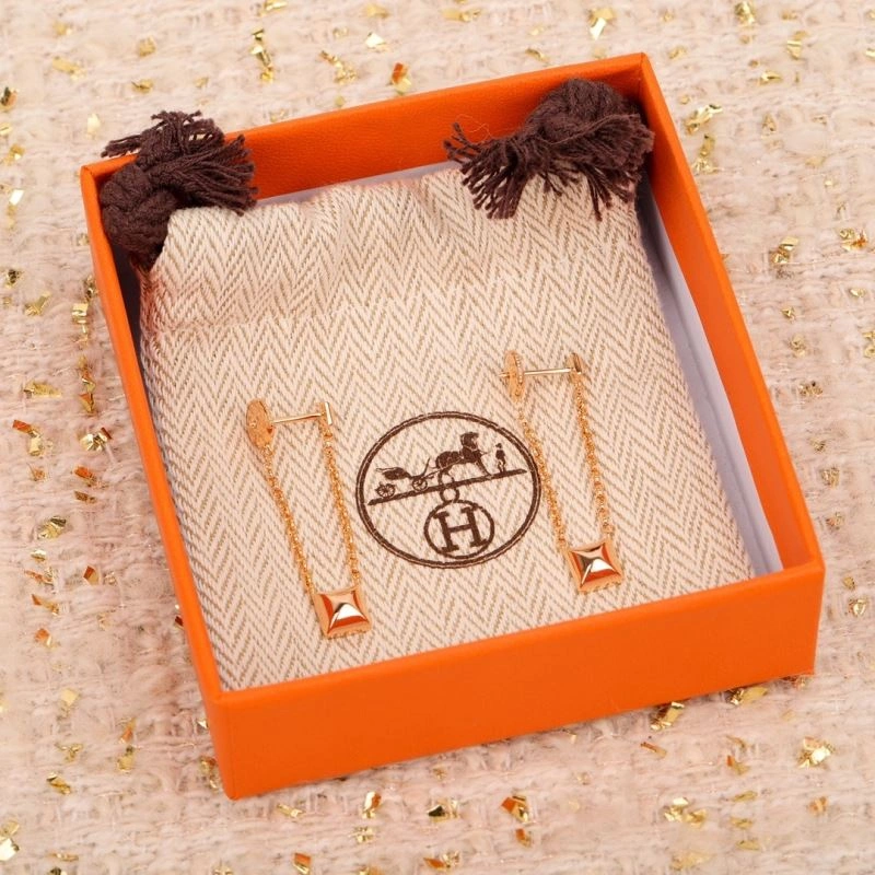 Economical Hermes Earrings