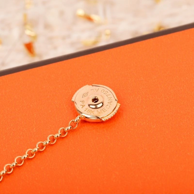Economical Hermes Earrings