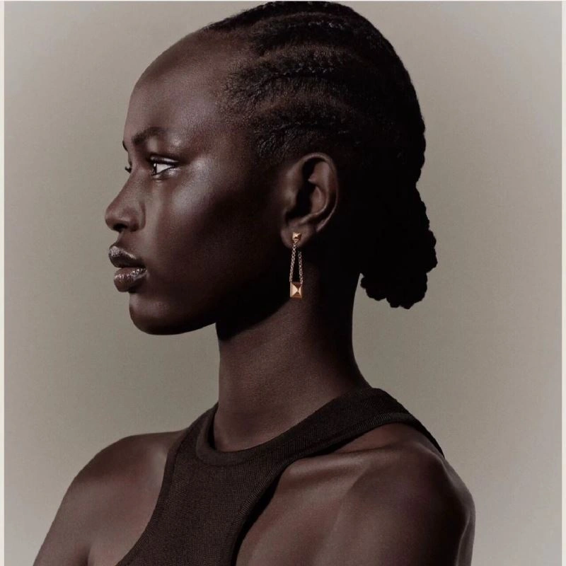 Economical Hermes Earrings