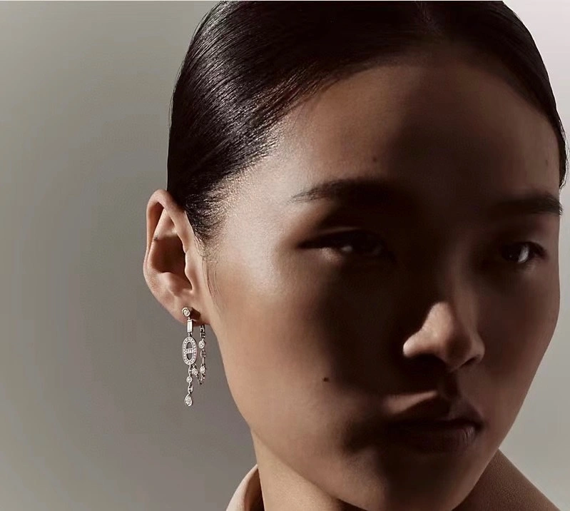 Factory-made Hermes Earrings