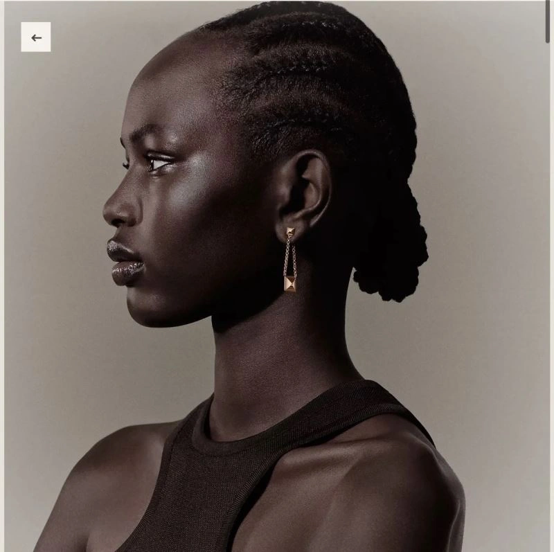 Hermes Earrings