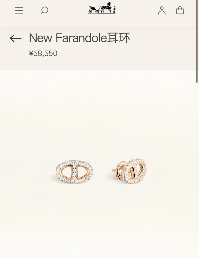 Hermes Earrings