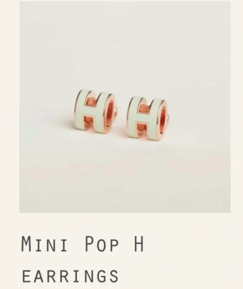 Hermes Earrings