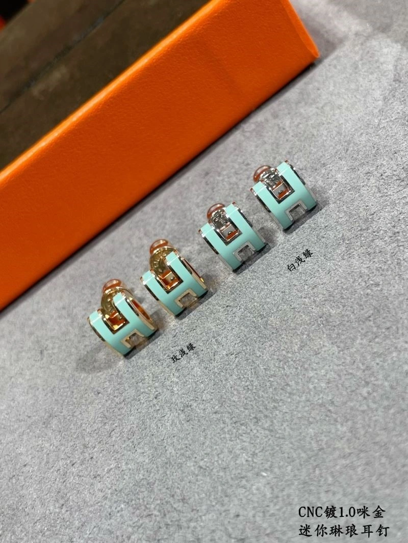 Value-priced Hermes Earrings