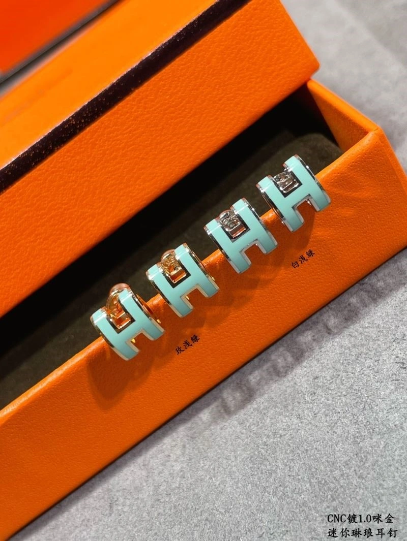 Value-priced Hermes Earrings