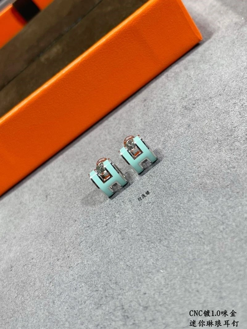 Value-priced Hermes Earrings