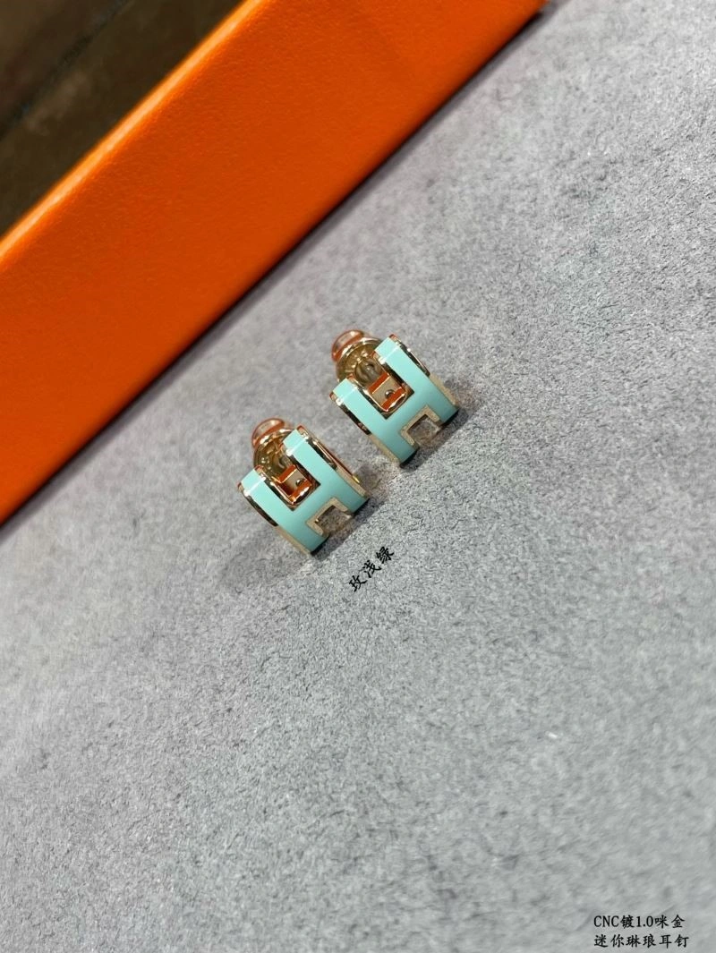 Value-priced Hermes Earrings